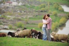 Sheep Kiss Stock Images - Download 104 Royalty Free Photos