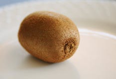 Kiwi Fruit stock photo. Image of freshness, sliced, healthy - 228928