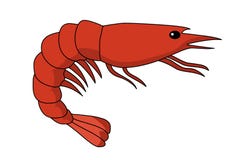Krill Stock Illustrations – 286 Krill Stock Illustrations, Vectors ...