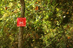 Land Mine Warning Sign At Dmz Stock Photo 55445754 - Megapixl