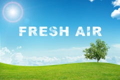 Clean environment stock illustration. Illustration of cycle - 13565111