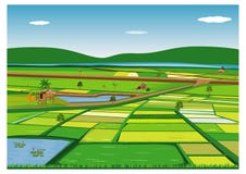 Paddy Field Stock Illustrations – 1,024 Paddy Field Stock Illustrations ...