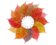 Fibonacci Sequence - Golden Spiral Stock Photography - Image: 29677232