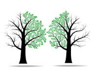 Half Tree Stock Illustrations – 2,825 Half Tree Stock Illustrations ...