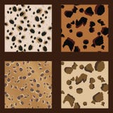 Leopard Pattern_Wild Stock Image - Image: 3490891