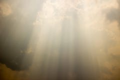 Holy light from above stock image. Image of nature, shine - 6249391