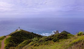 New Zealand: Sea Birds On Maori Pou Sculptures Stock Images - Image ...