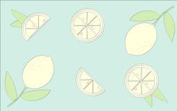 Vector Lemon Sun Stock Image - Image: 9070821