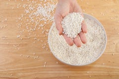 One Grain Of Rice Royalty Free Stock Images - Image: 5065719