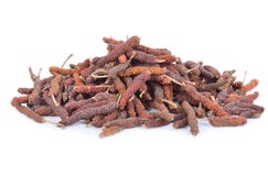 Long Pepper Genus Piper Stock Photos - Royalty Free Images