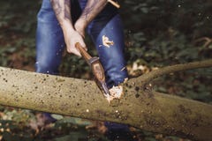 Lumberjack Forester Axe Stock Images - Download 700 Royalty Free Photos