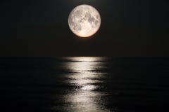 Notte Della Luna Sul Mare Stock Photos - Royalty Free Pictures