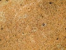Mottled stone texture stock photo. Image of macro, natural - 588058