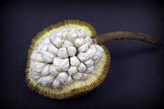 Fruta de Tarap imagen de archivo. Imagen de cubo, sano - 44870311