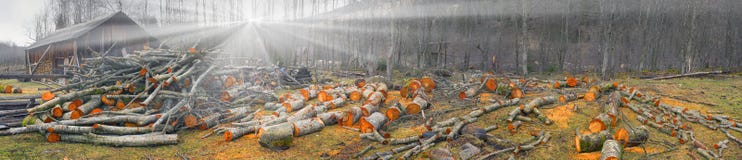 Malerisches Erlenholz stockbild. Bild von nave, nahaufnahme - 53279433