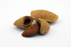 Mandelkern stockfoto. Bild von braun, gesund, frucht - 53607042