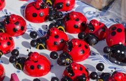 Ladybug Feast Royalty Free Stock Photography - Image: 1336917