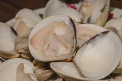 Cooking Clams With White Sauce Stock Photo - Image of cockles, cockle ...