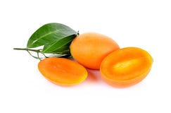 Mayongchid Maprang Marian Plum Tree Stock Photo - Image: 47388202