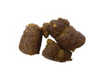 Images Merde De Chien - Téléchargez 279 Photos libres de droits