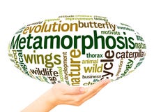 Metamorphosis Stock Illustrations – 1,220 Metamorphosis Stock ...