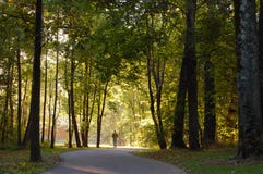 Walking in the morning 4 stock image. Image of autumn - 6665053