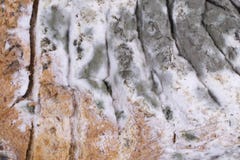 Mouldy Bread Royalty Free Stock Photos - Image: 2426628