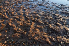 Flowing wet mud texture stock photo. Image of clay, sludge - 41586802