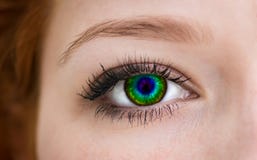 Multicolored Eye Royalty Free Stock Images - Image: 9305689