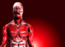 Skinless Face stock illustration. Illustration of fear - 612187