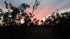 Sol Lindo Ilustración del Vector - Imagen: 40194654