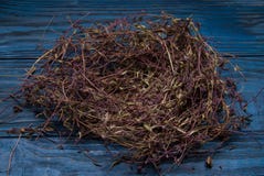 A bunch of hay stock photo. Image of field, separated - 4933682