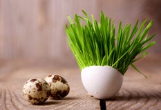 New life in nature stock photo. Image of hands, toddler - 9405678