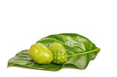 Noni Fruit Stock Image - Image: 34969211
