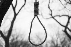 Noose Hanging Tree Stock Photos, Images, & Pictures - 69 Images