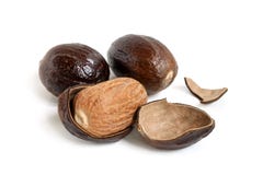 Nutmeg Fruit Cut Open stock image. Image of island, essential - 48395793