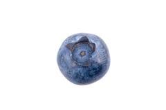 One blueberry stock image. Image of groceries, macro, juicy - 2722481