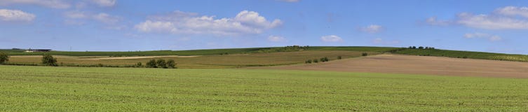 Open countryside stock image. Image of country, open, meadows - 3915873