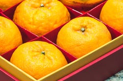 Chinese New Year Delicacies Stock Image - Image of custom, food: 6371033