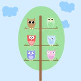 Happy Owl Family On Tree Branch Stock Vector - Illustration of tree ...