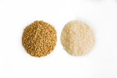 Circle Paddy Rice Organic Grain Products And Healthy Food Vector Design ...