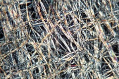 Paper under the microscope stock image. Image of ecology - 82015469