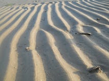 Desolate Beach stock photo. Image of equipment, coastline - 30792704
