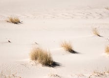 Coral Pink Sand Dunes And Ripples Stock Image - Image of quiet ...