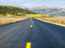 Paved With Gold Stock Images - Image: 18611764