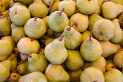 Pear stock photo. Image of ripe, closeup, food, background - 24510692