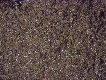 Peat moss soil stock photo. Image of homegrown, grower - 41301916