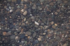 Underwater Pebbles stock image. Image of lakes, clearwater - 90312171