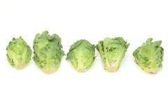 Small Green Car Royalty Free Stock Image - Image: 7664226