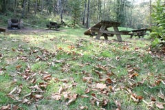 Forest Picnic Area stock photo. Image of nature, field - 6067916